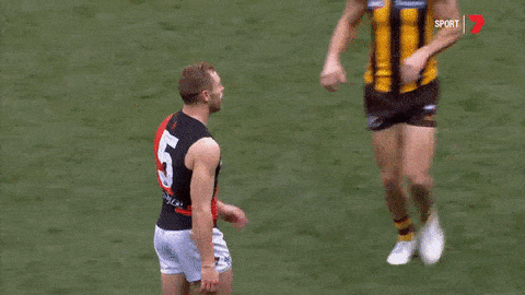 Aussie Rules Sport GIF by Essendon FC - Find & Share on GIPHY