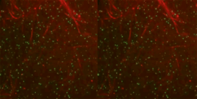 Liquids GIFs - Find & Share on GIPHY