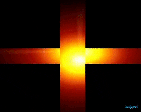 Hot Cross Bun Orange GIF by ladypat - Find & Share on GIPHY