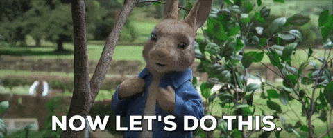Inspo GIF by Peter Rabbit Movie - Find & Share on GIPHY
