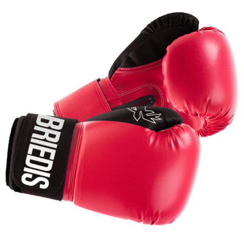 Boxing Briedis Sticker by LIVE RIGA for iOS & Android | GIPHY