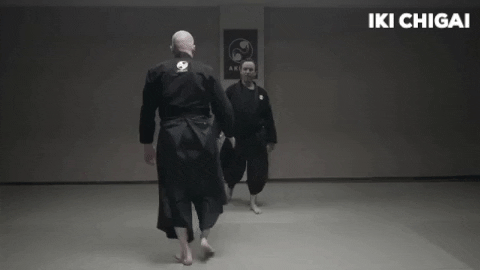 Martial Arts Ninjutsu GIF by AKBAN Academy - Find & Share on GIPHY
