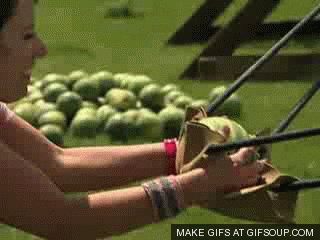 Face Watermelon GIF - Find & Share on GIPHY