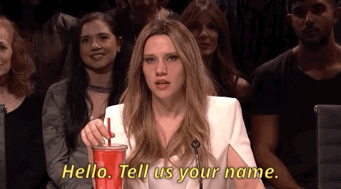 Kate Mckinnon Hello GIF by Saturday Night Live - Find & Share on GIPHY