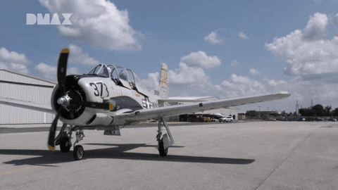 Fly Flying GIF - Find & Share on GIPHY