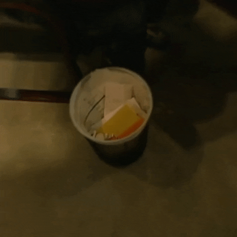 Trash Garbage GIF by MTV Cribs - Find & Share on GIPHY