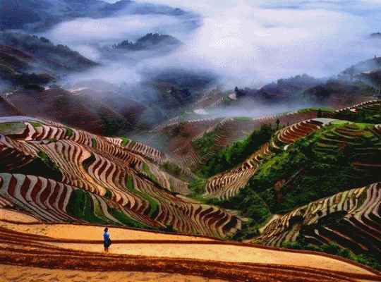 Philippines GIF - Find & Share on GIPHY