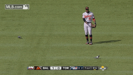 Bal GIF by MLB - Find & Share on GIPHY