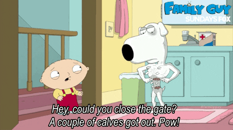Family Guy GIF by Fox TV - Find & Share on GIPHY