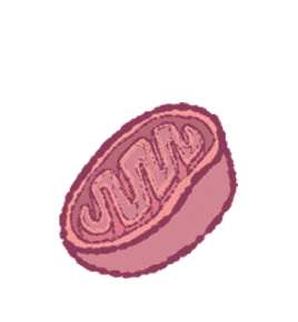 Science Sticker for iOS & Android | GIPHY