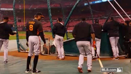 GIF by MLB - Find & Share on GIPHY