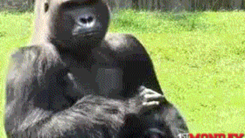 FirstAndMonday GIF - Find & Share on GIPHY