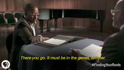 Finding Your Roots GIF by PBS - Find & Share on GIPHY