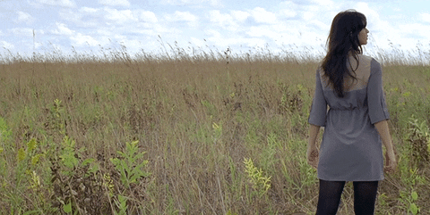 Woman In A Field GIF by Jerology - Find & Share on GIPHY