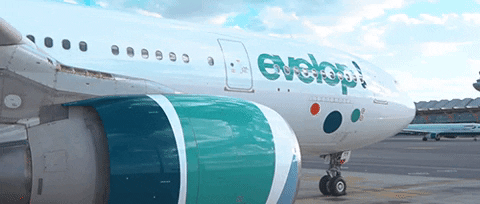 Viajar Cabin Crew GIF by Iberojet - Find & Share on GIPHY