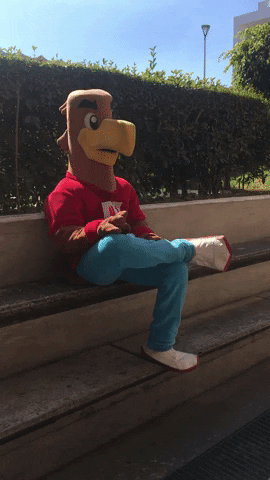 Esperando GIF by UPAEP - Find & Share on GIPHY