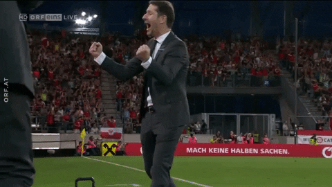 National Team Austria GIF - Find & Share on GIPHY