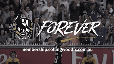 Alan Didak Fans GIF by CollingwoodFC - Find & Share on GIPHY