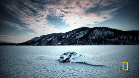 Life Below Zero GIF by National Geographic Channel - Find & Share on GIPHY