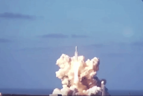 Florida GIFs - Get the best GIF on GIPHY