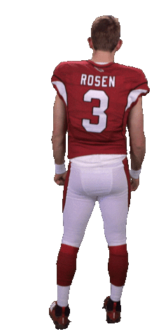 Arizona Cardinals sticker by NFL for iOS & Android | GIPHY