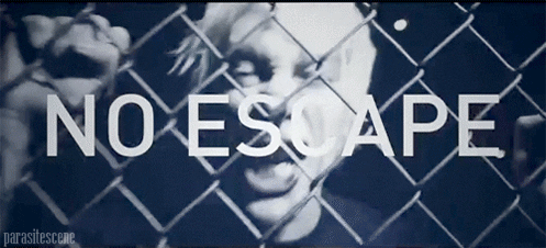 Finding No Escape GIF - Find & Share on GIPHY