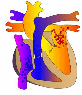 Cycle GIF - Find & Share on GIPHY