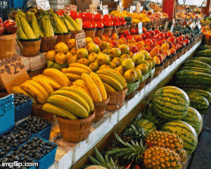 Nutrition GIF - Find & Share on GIPHY