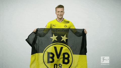 Borussia Dortmund GIF by Bundesliga - Find & Share on GIPHY