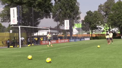 Paul Aguilar Porteros GIF by Club América - Find & Share on GIPHY