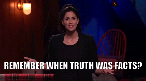 Sarah Silverman Comedy GIF by HULU - Find & Share on GIPHY