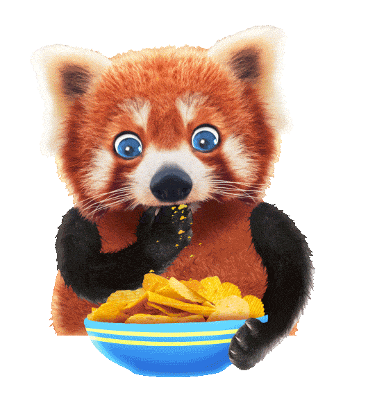 Hungry Red Panda Sticker by Chris Timmons for iOS & Android | GIPHY