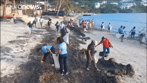 Cleaning GIF by euronews - Find & Share on GIPHY