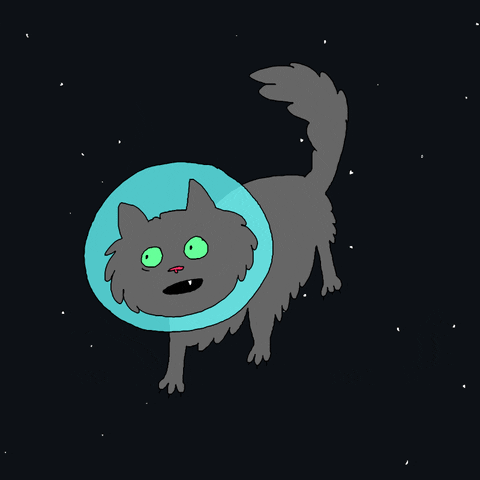 Screaming Space Cat GIF by Sarah Schmidt - Find & Share on GIPHY