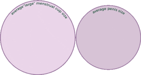 Anatomy Menstrual Cup Sticker by Period Nirvana for iOS & Android | GIPHY