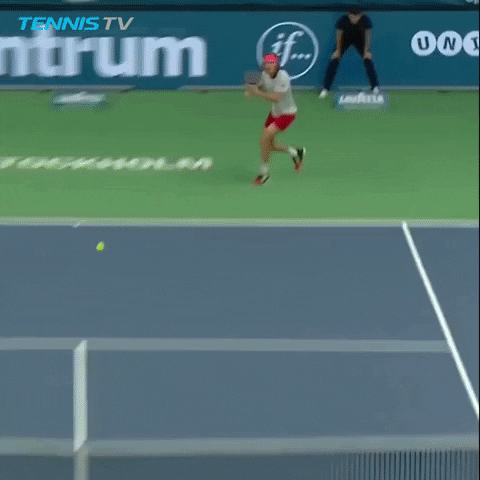 GIF by Tennis TV - Find & Share on GIPHY