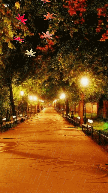 Autumn GIF - Find & Share on GIPHY