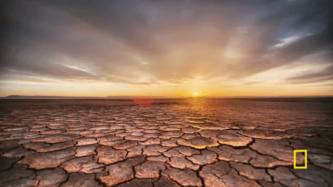 9:15 GIF by National Geographic Channel - Find & Share on GIPHY