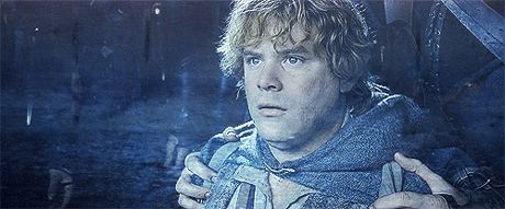 Samwise Gamgee GIF - Find & Share on GIPHY
