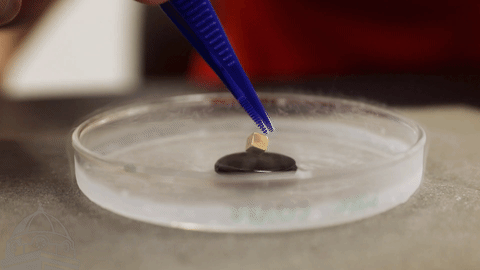 Physics Spinning GIF by SEMissouriState - Find & Share on GIPHY