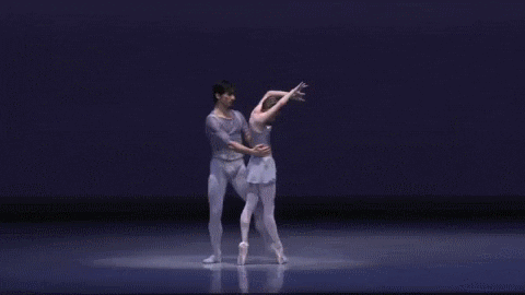 Ballet GIF - Find & Share on GIPHY