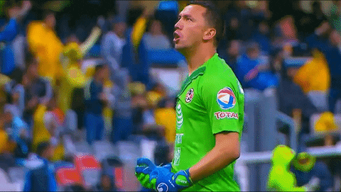 Happy Liga Mx GIF by Club America - Find & Share on GIPHY