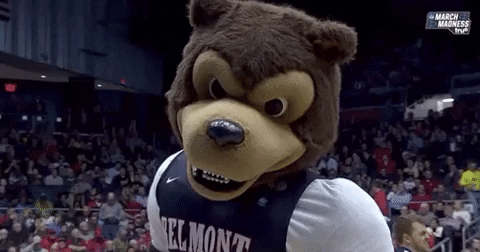 College Basketball Bruiser Belmont GIF by NCAA March Madness - Find ...