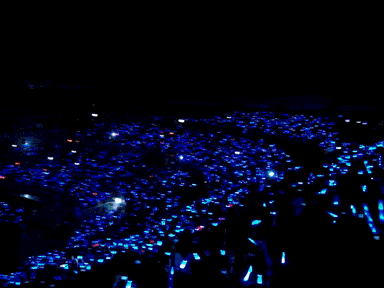 Blue GIF - Find & Share on GIPHY