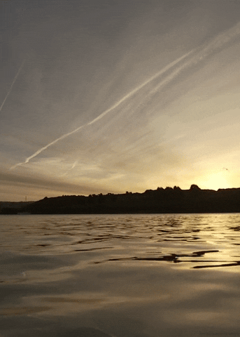 Sea Landscape GIF by Head Like an Orange - Find & Share on GIPHY