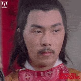 Martial Arts Yes GIF by Arrow Video - Find & Share on GIPHY