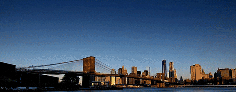 Nyc GIF - Find & Share on GIPHY
