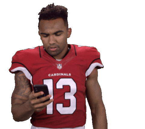 Arizona Cardinals Stickers Sticker by NFL for iOS & Android | GIPHY