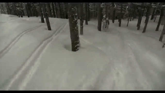 Alpine Skiing GIFs - Find & Share on GIPHY