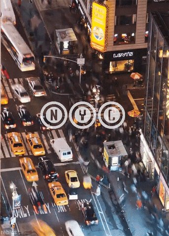 New York GIF - Find & Share on GIPHY